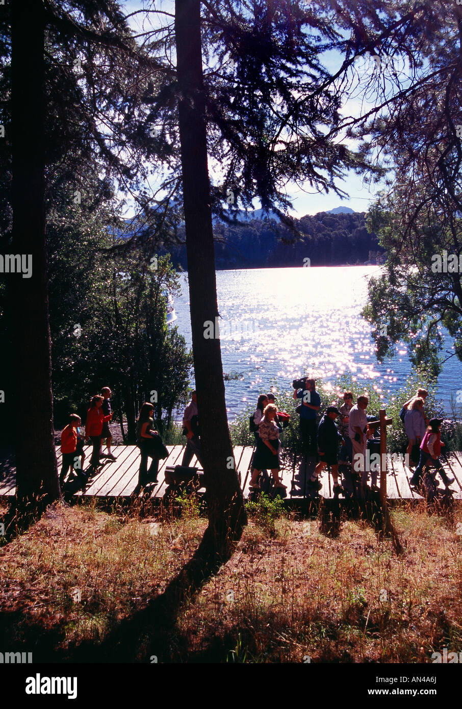 Arrayanes trees hi-res stock photography and images - Alamy