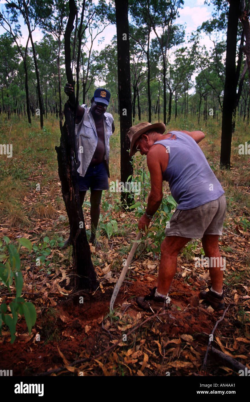 November 1995 Darwin Northern Territory Australia The Manyalaluk ...