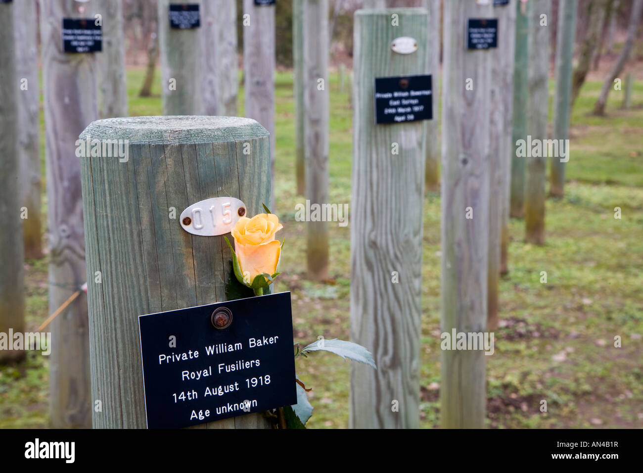 World War II,Second World War,WWII,WW2"Shot at Dawn" Remembrance Day ...