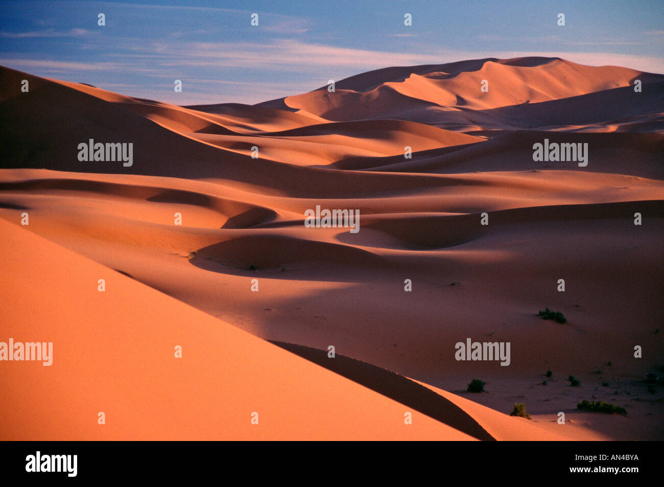 Sand color fading hi-res stock photography and images - Alamy