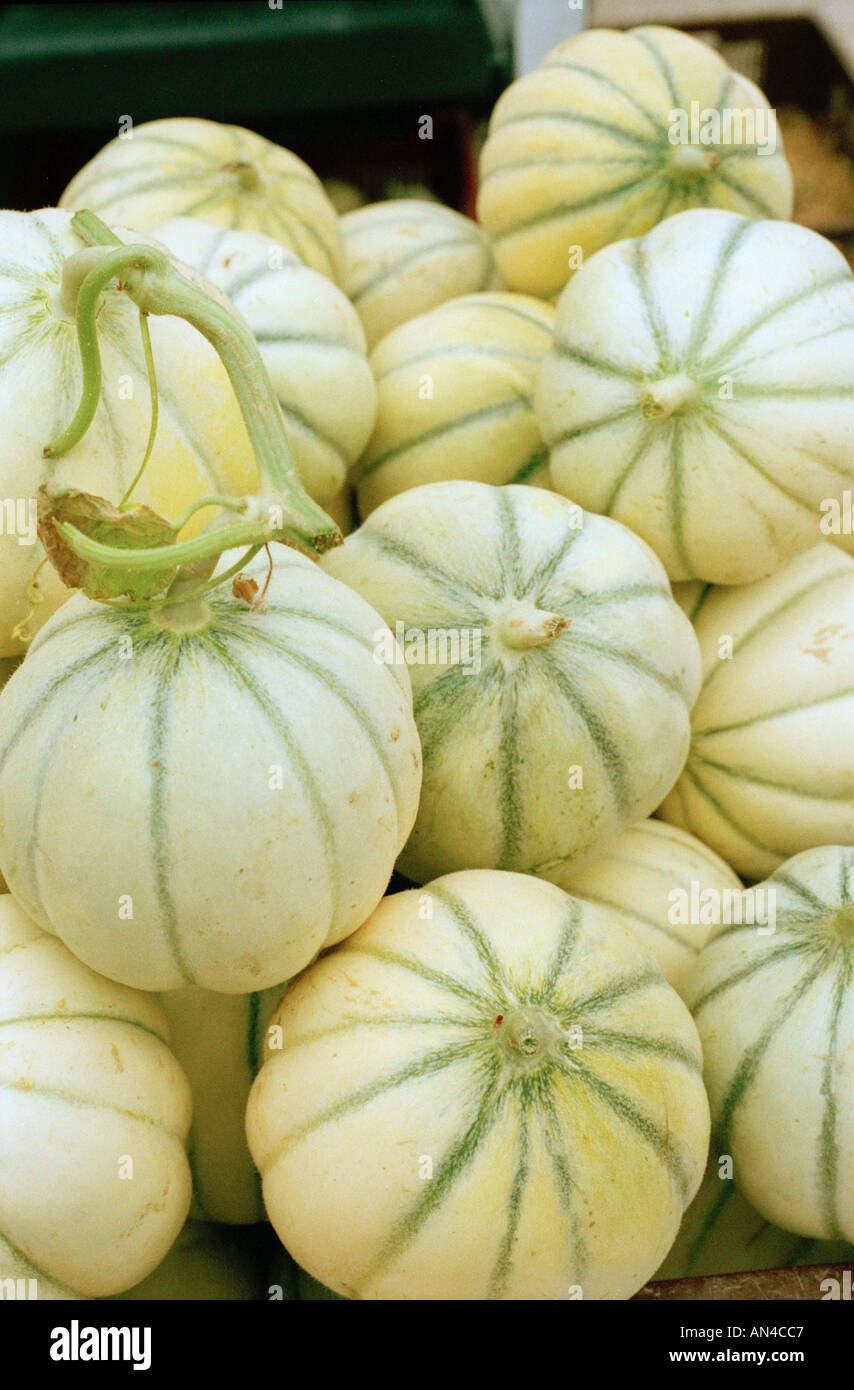 Cavaillon melons on a market stall in Provence France Stock Photo - Alamy