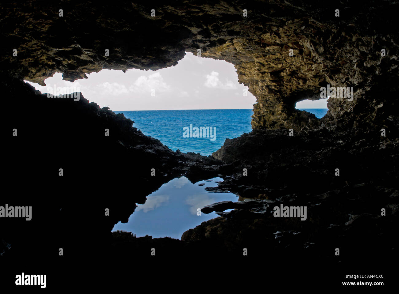 Animal Flower Caves St Lucy North Point Barbados WI Stock Photo - Alamy