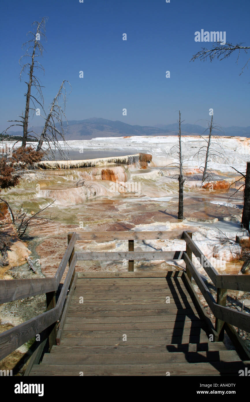 Overlooking the top of Canary Spring, Upper Terrace Drive, Mammoth Hot ...