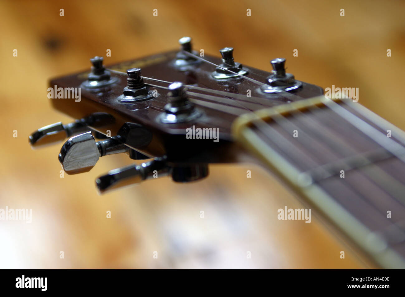 Plectrum High Resolution Stock Photography and Images - Alamy