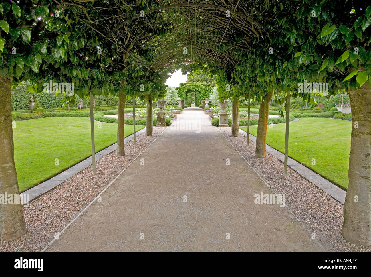 Pleached tree hi-res stock photography and images - Alamy