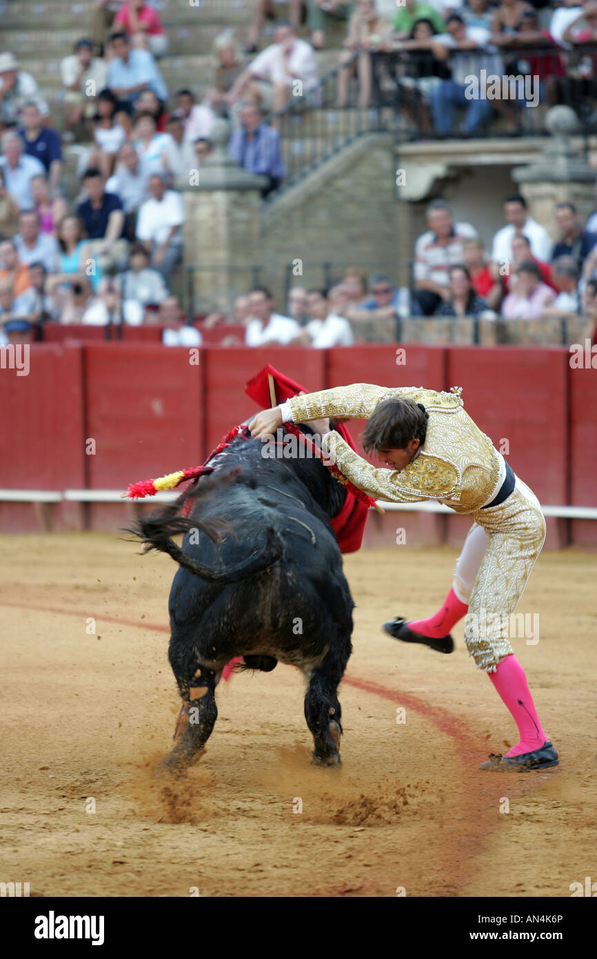 Olay Bullfighting