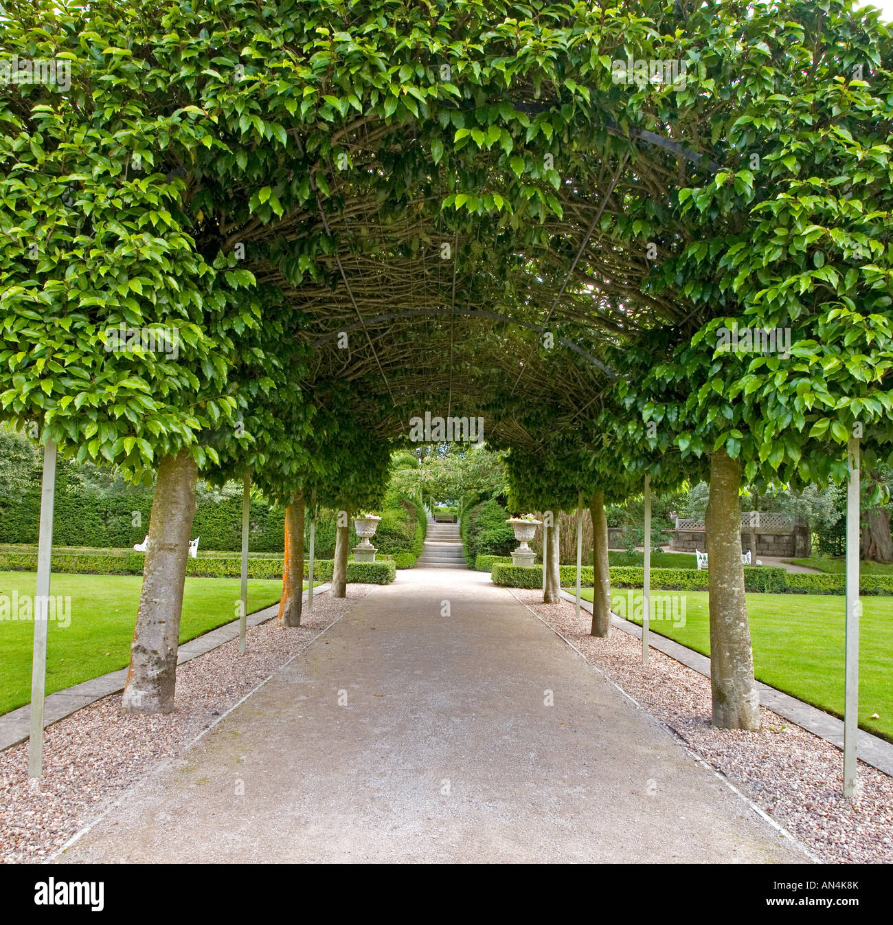 Holker Hall, Cumbria, garden path tree walkway Stock Photo - Alamy