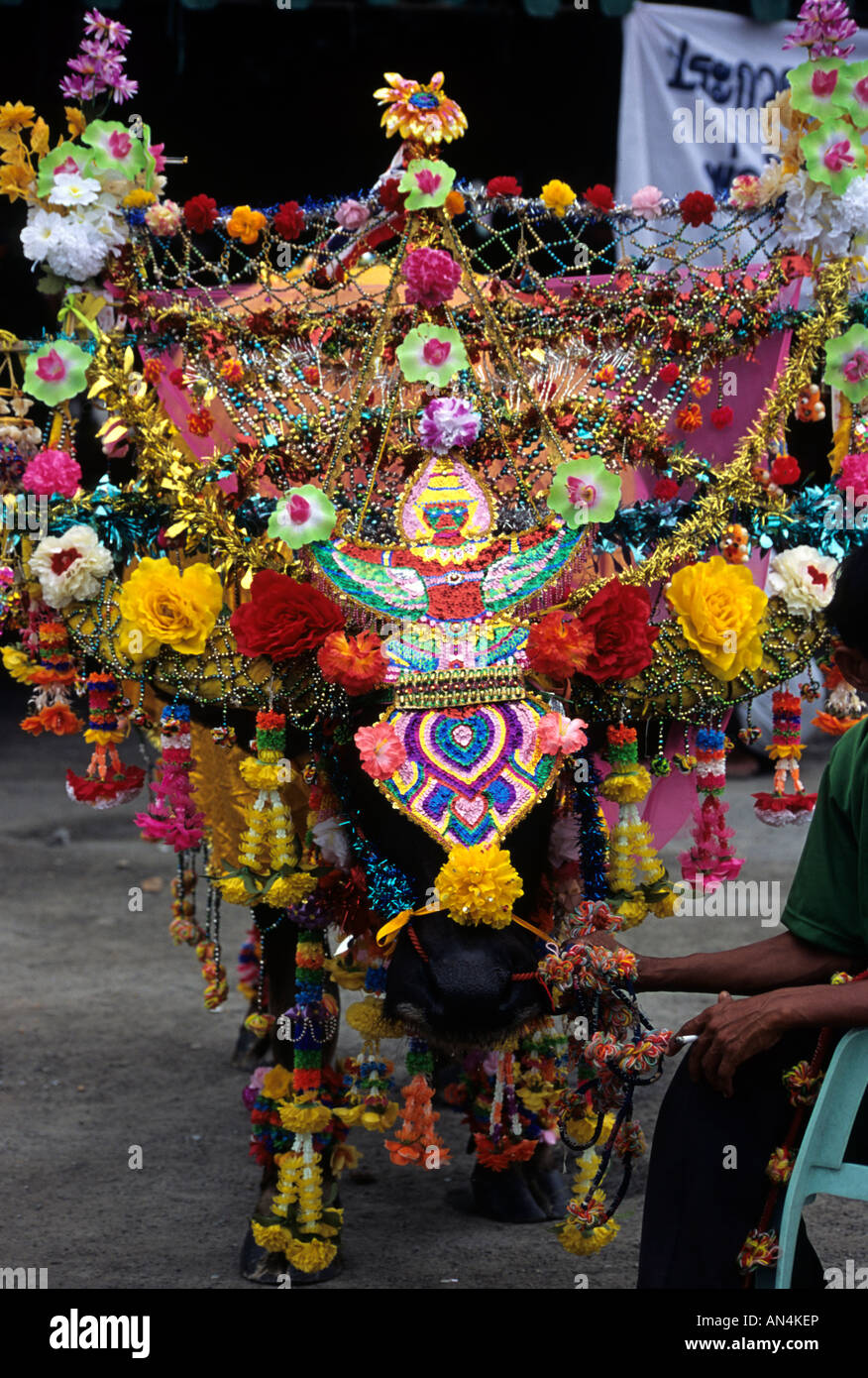 Buffalo beauty queen contestant,Chonburi,Thailand Stock Photo - Alamy