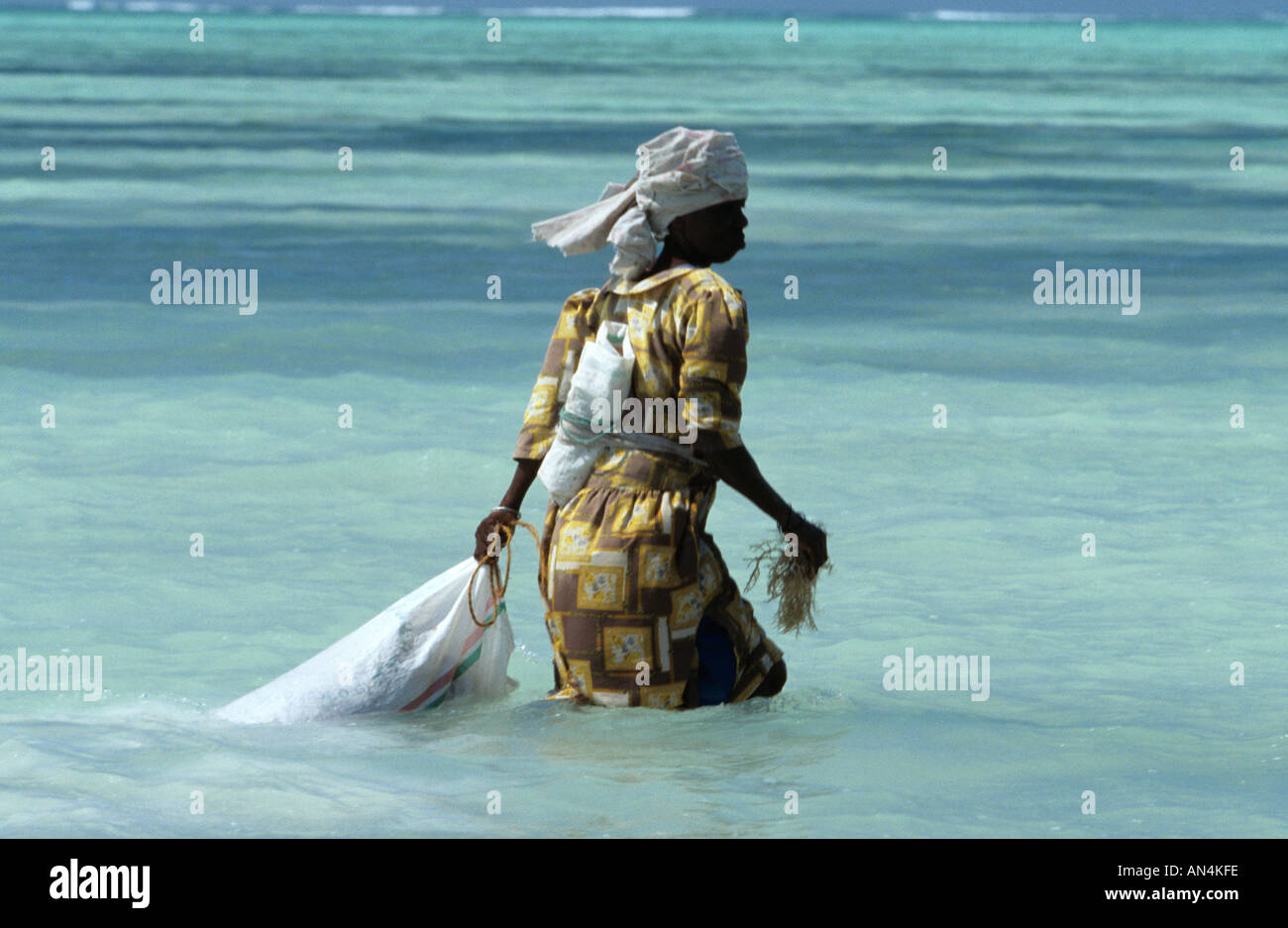 Woman catching fish, Zanzibar Island, East Africa Stock Photo - Alamy