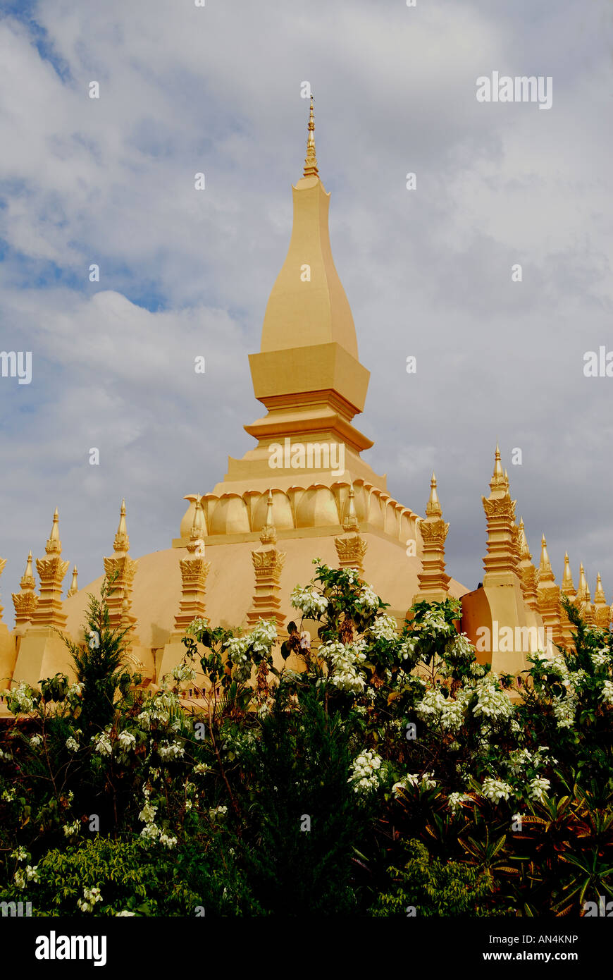That Luang monument with national flower dok champa,Vientiane,Laos ...