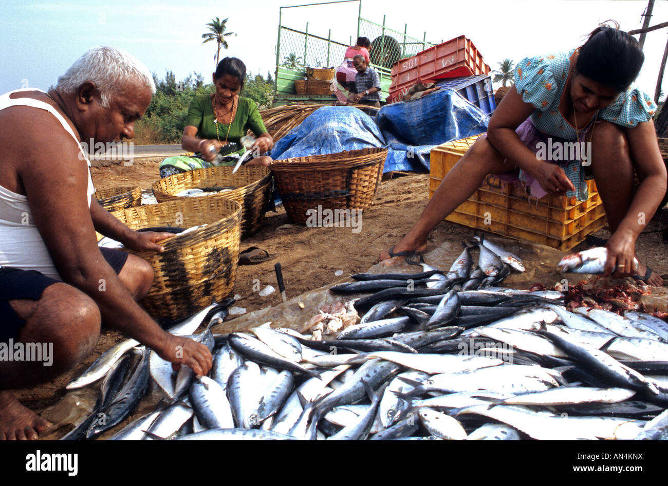 Cleaning fish hi-res stock photography and images - Alamy