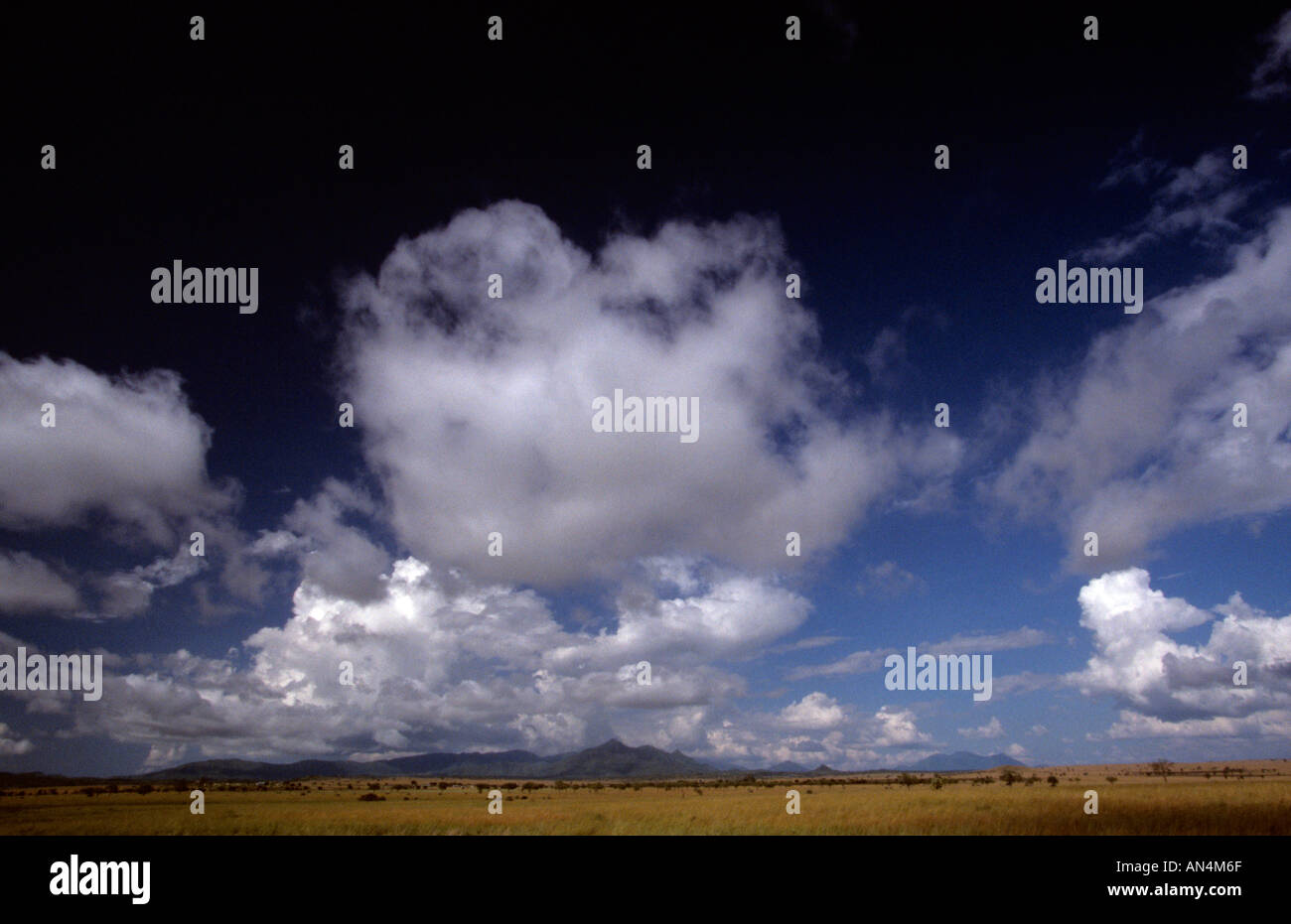 Freestate landscape hi-res stock photography and images - Alamy