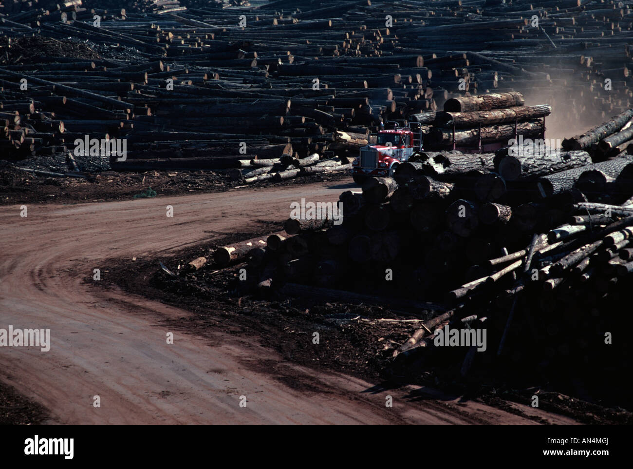 USA Washington logging truck logs Stock Photo - Alamy