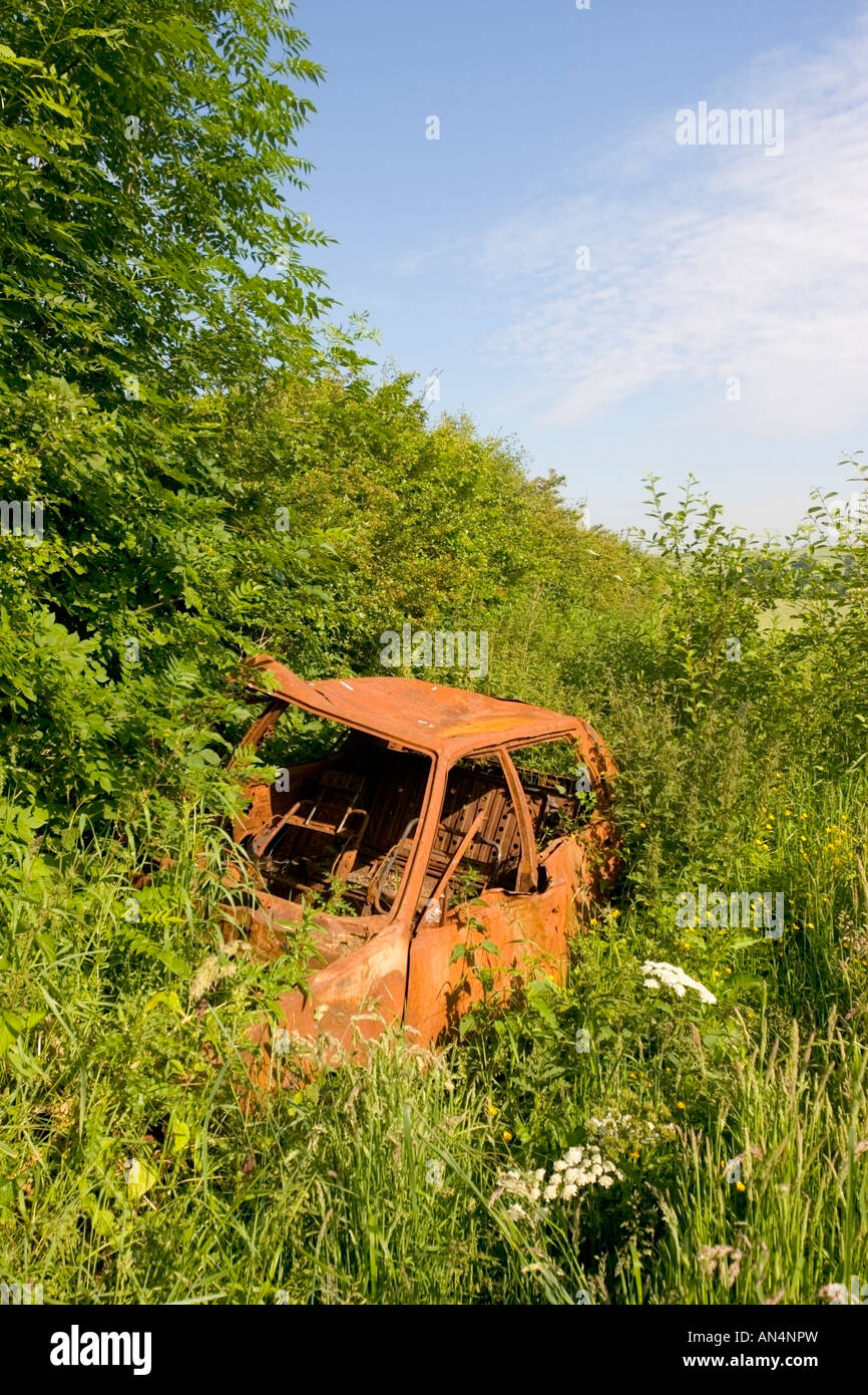 An abandoned, burnt out car in a hedge Stock Photo - Alamy