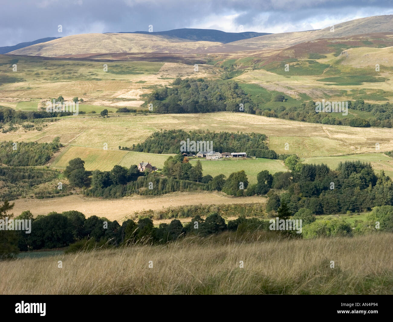 Mealeveron hi-res stock photography and images - Alamy