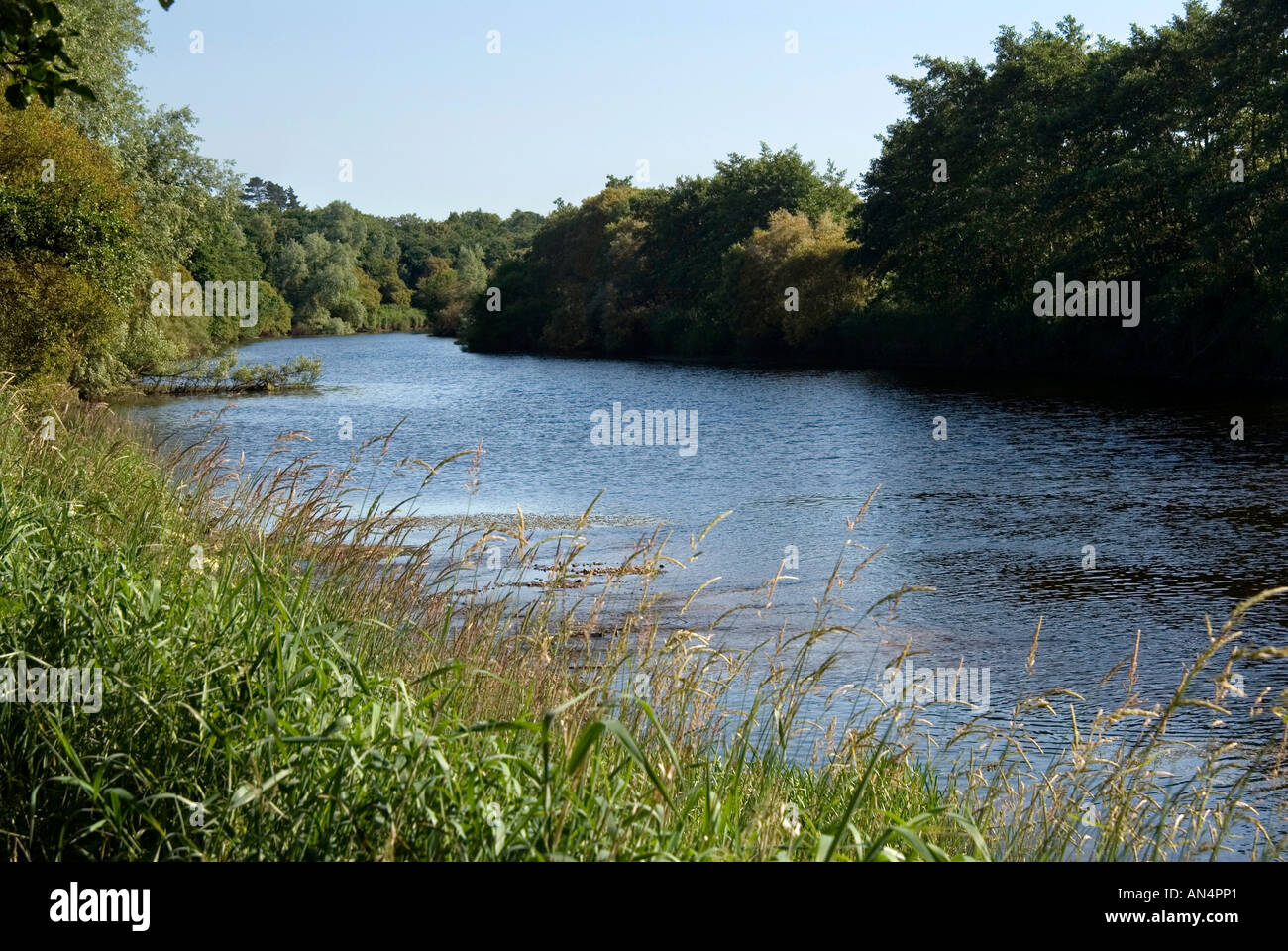 An4pp1 hi-res stock photography and images - Alamy