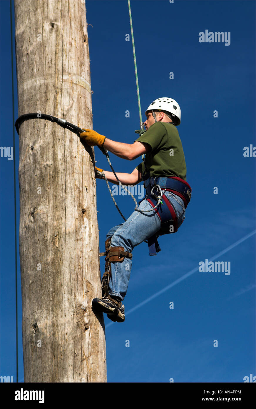 Trainee Lumberjack climbing a pole Stock Photo - Alamy