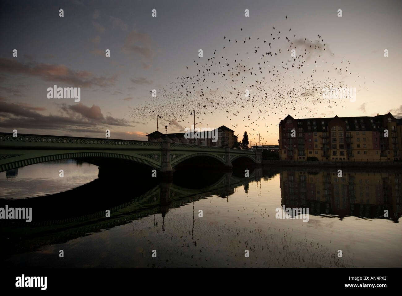 Bridge Over River Lagan High Resolution Stock Photography and Images ...