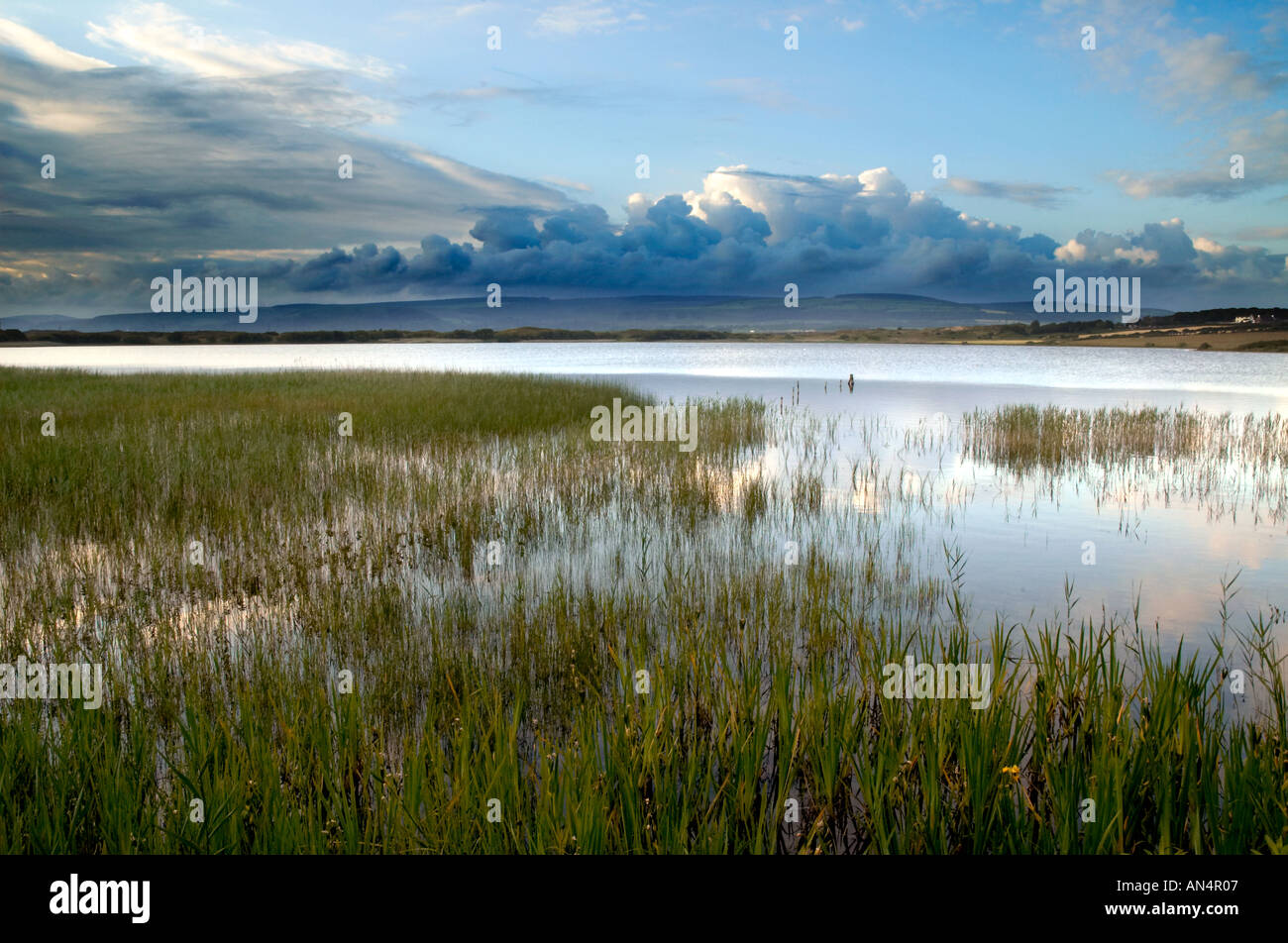 Kenfig hill pond hi-res stock photography and images - Alamy