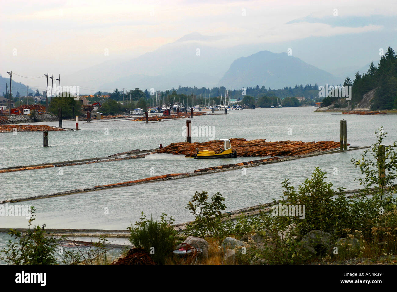 LOGGING on the Pacific coast, British Columbia, Canada Stock Photo - Alamy