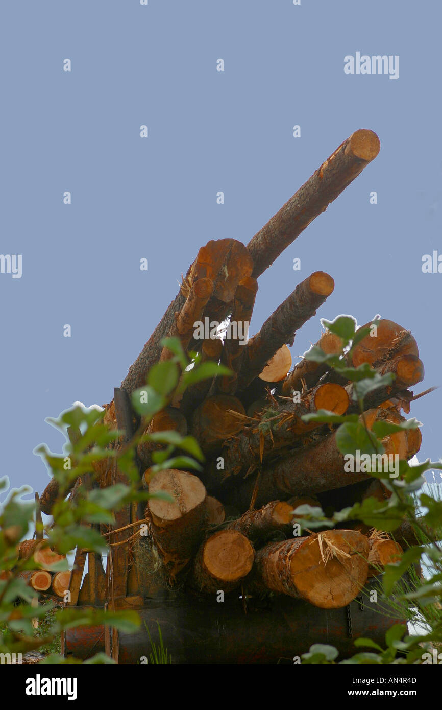 LOGGING on the Pacific coast, British Columbia, Canada Stock Photo - Alamy