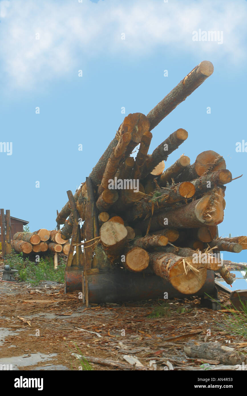 LOGGING on the Pacific coast, British Columbia, Canada Stock Photo - Alamy