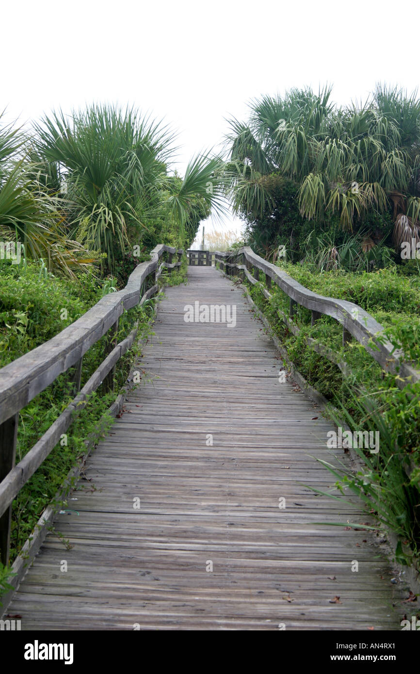 Wooden Path to the beach Stock Photo - Alamy