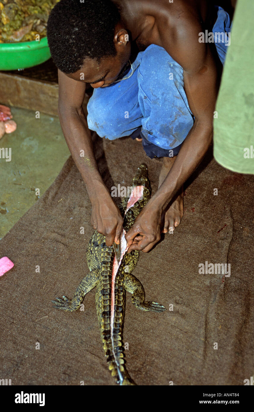 Crocodile skins hi-res stock photography and images - Alamy