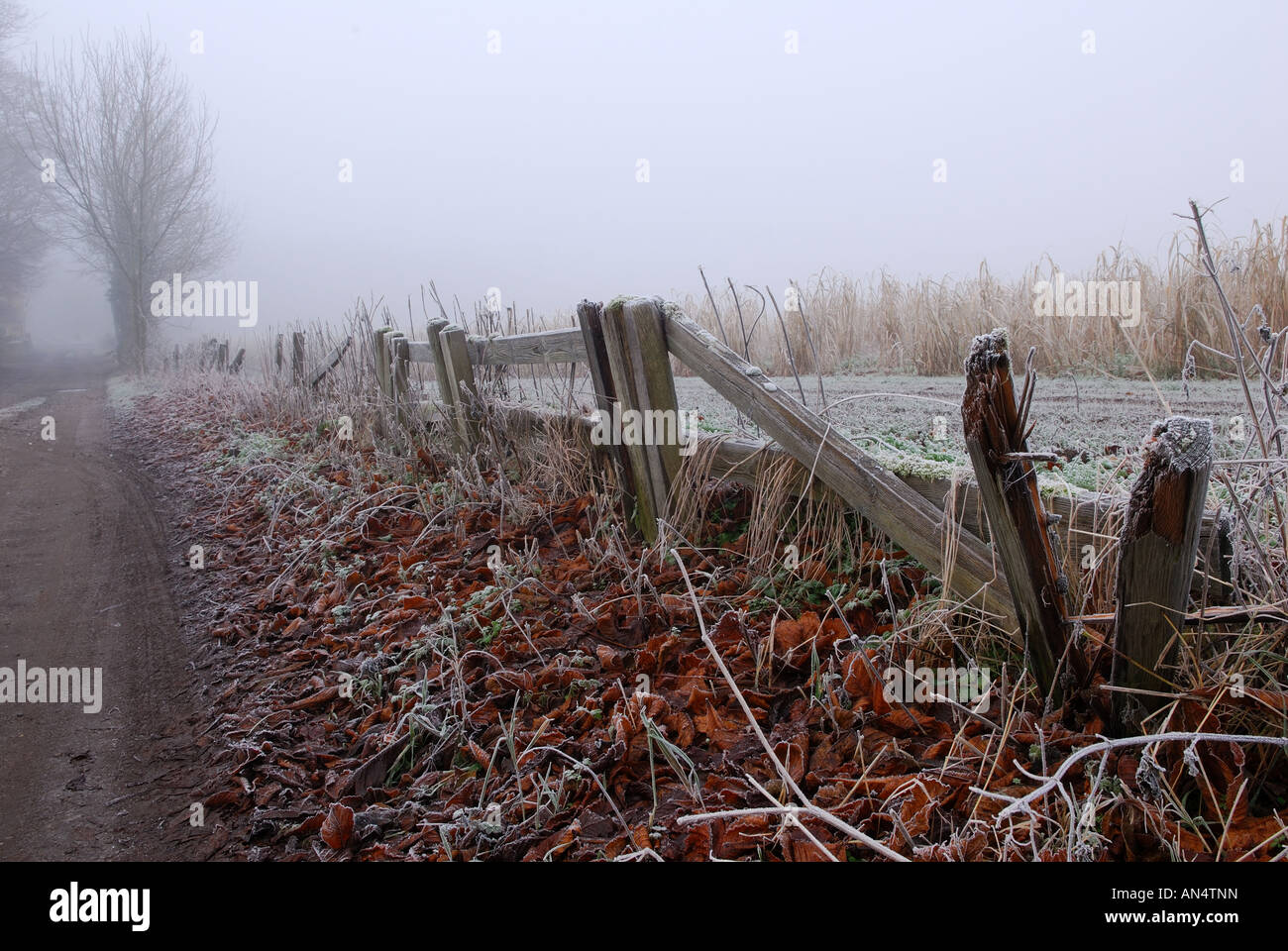 Rural winters landscape nottinghamshire england Stock Photo - Alamy
