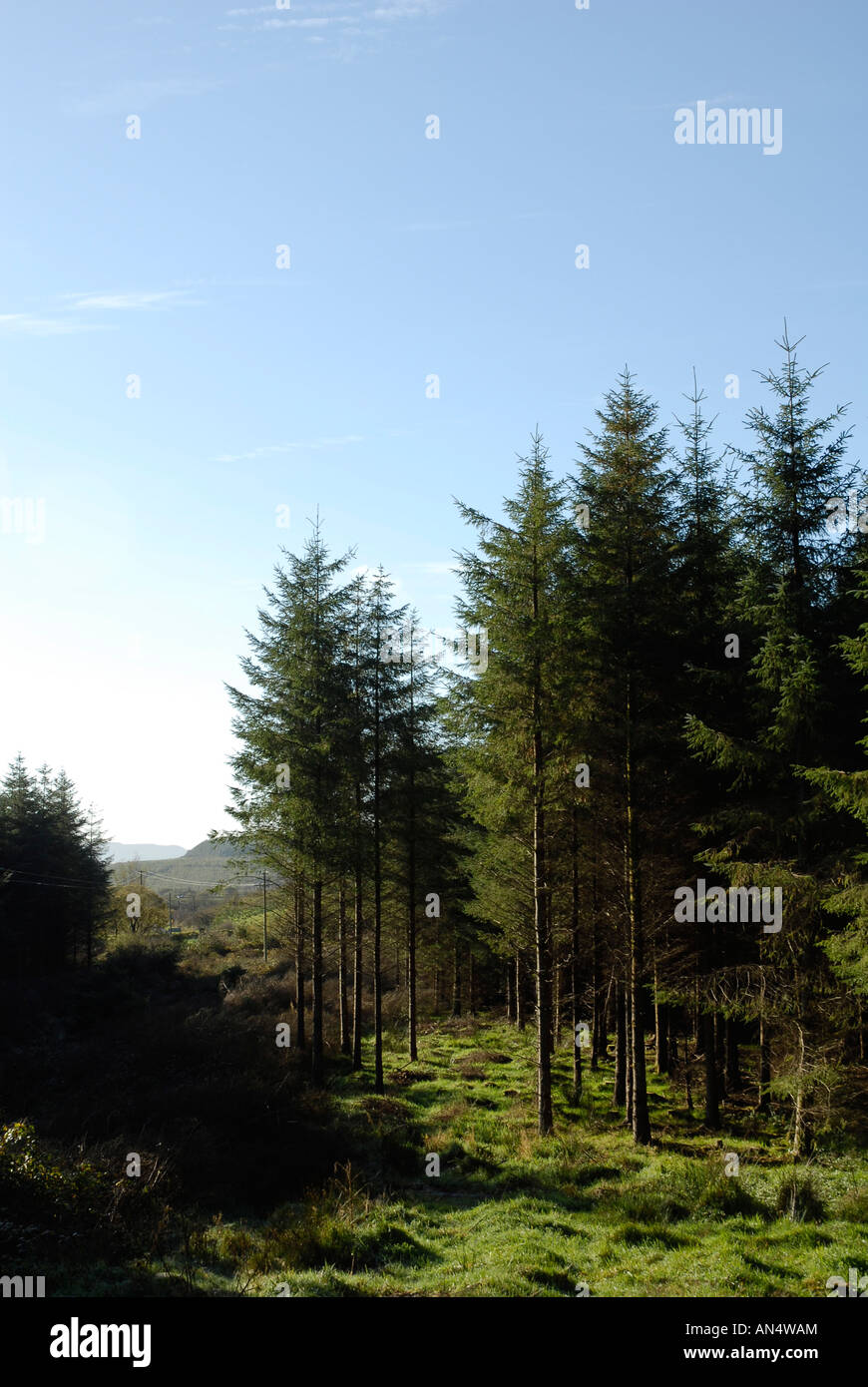 Commercial plantation farming hi-res stock photography and images - Alamy