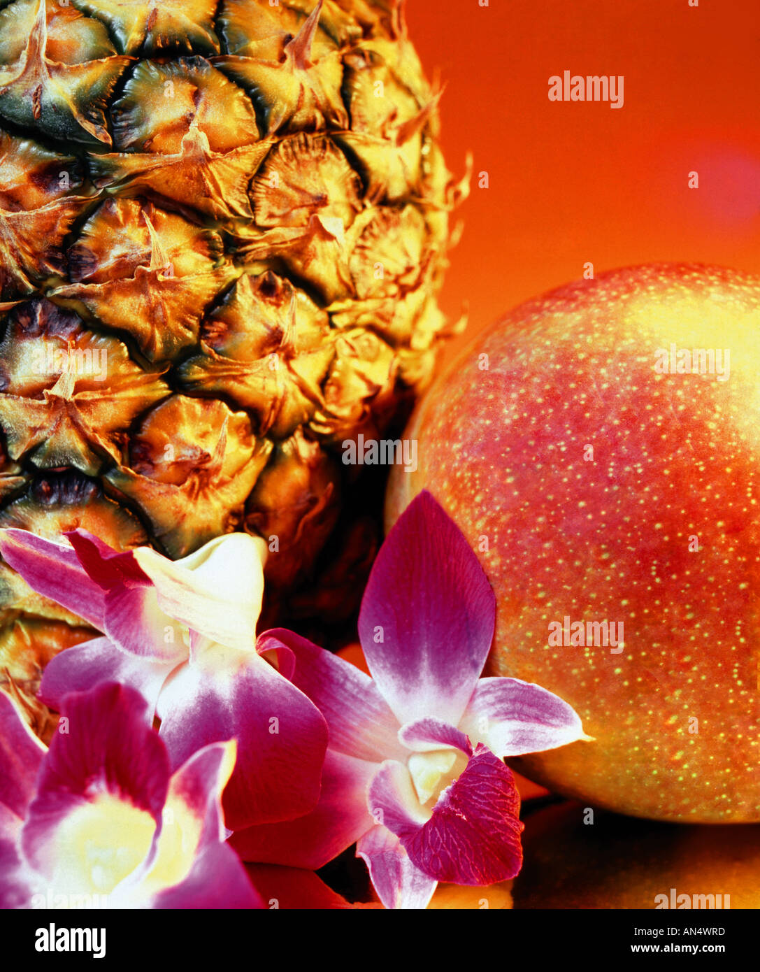 Pineapple,mango and orchid arrangement with toning background Stock ...