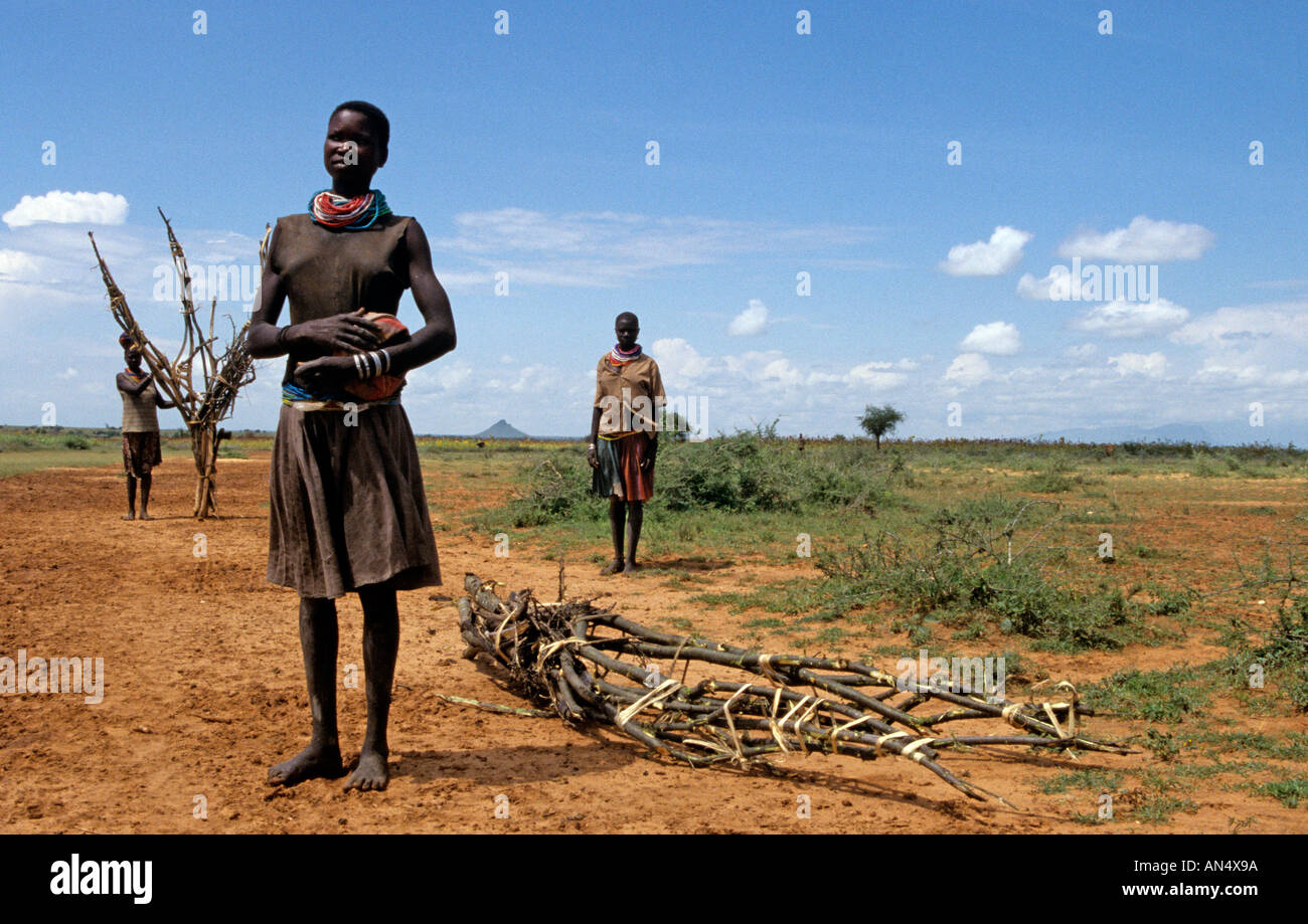 African women collecting firewood, South Africa Stock Photo - Alamy