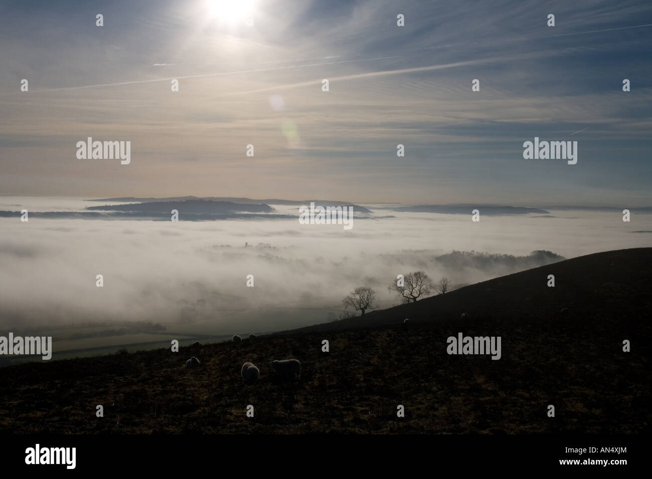 Looking across ApeDale to Wenlock Edge and Clee Hill from Ragleth Hill ...