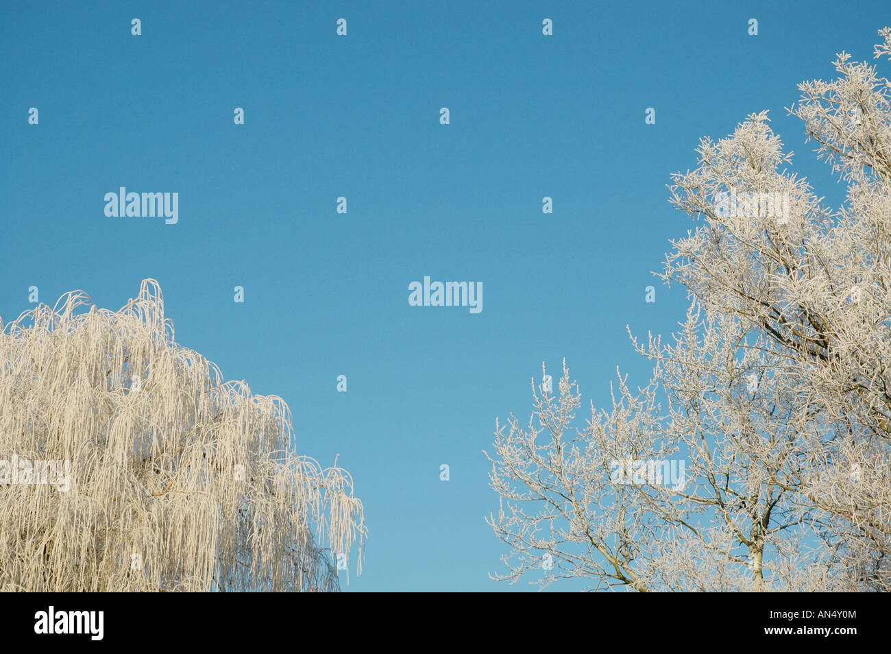 winter scene Roermond Netherlands Europe Stock Photo - Alamy