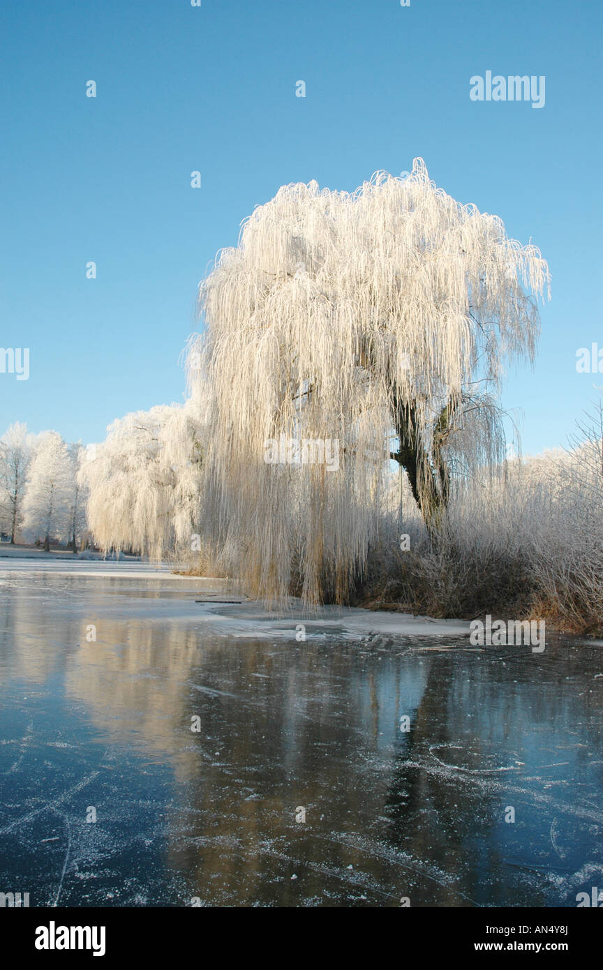 winter scene Roermond Netherlands Europe Stock Photo - Alamy