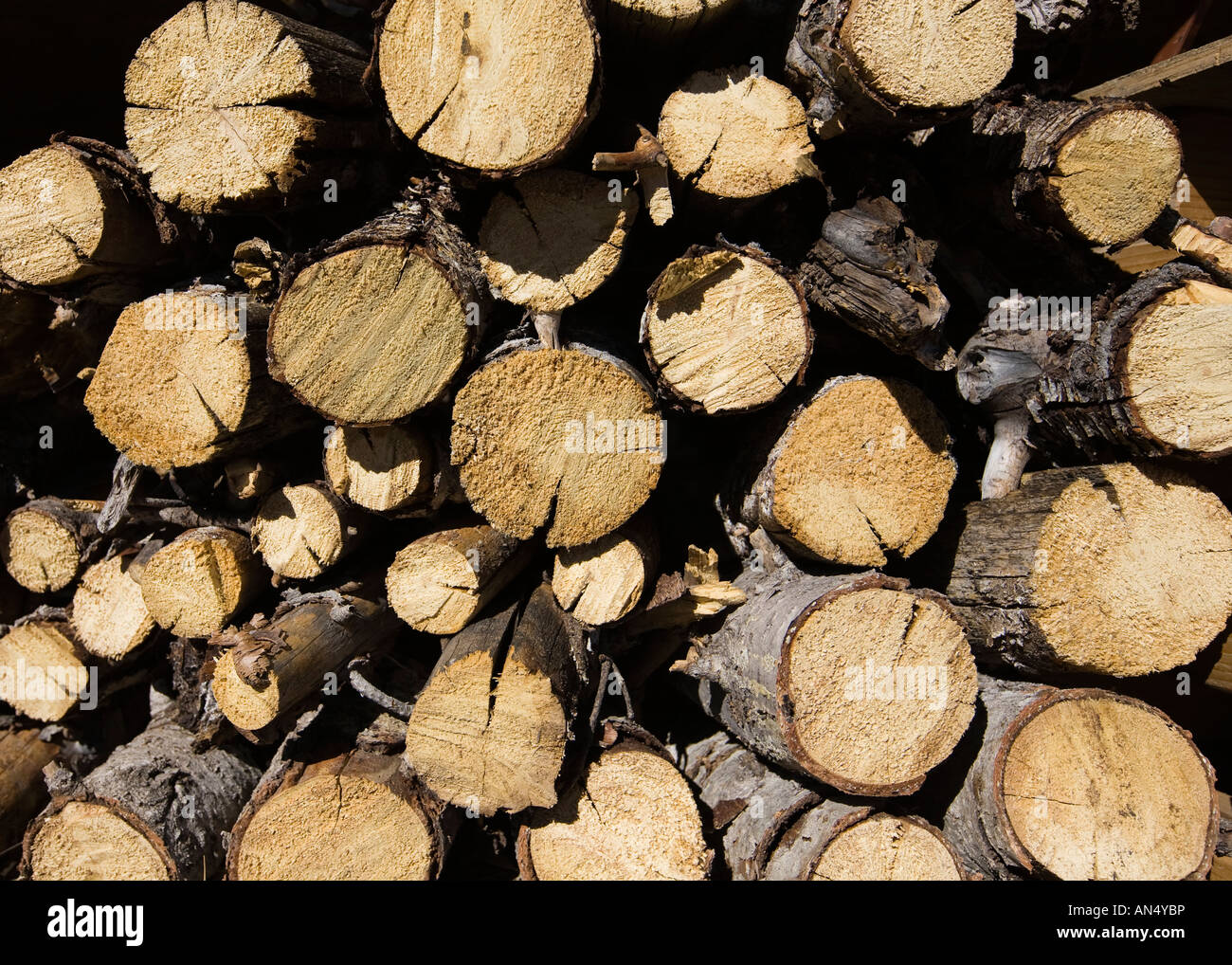 Stack of firewood Stock Photo - Alamy
