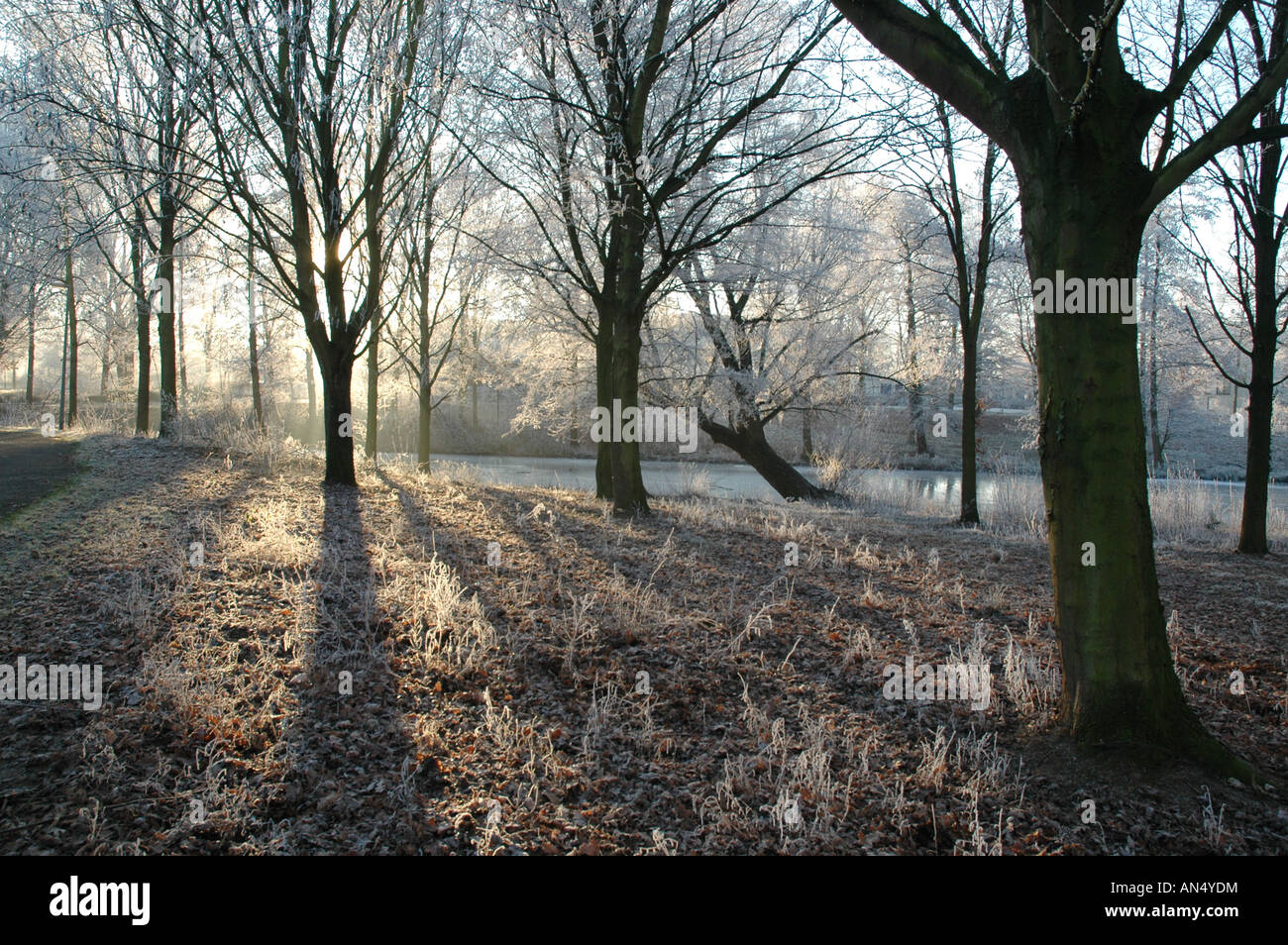 winter scene Roermond Netherlands Europe Stock Photo - Alamy