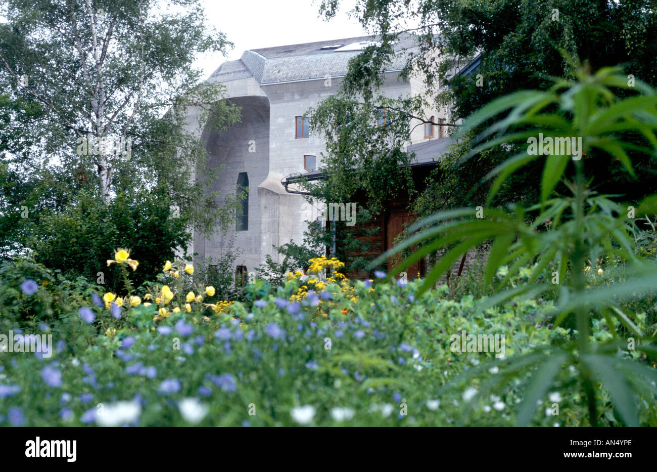 The Goetheanum Building visible through the medicinal plant garden ...