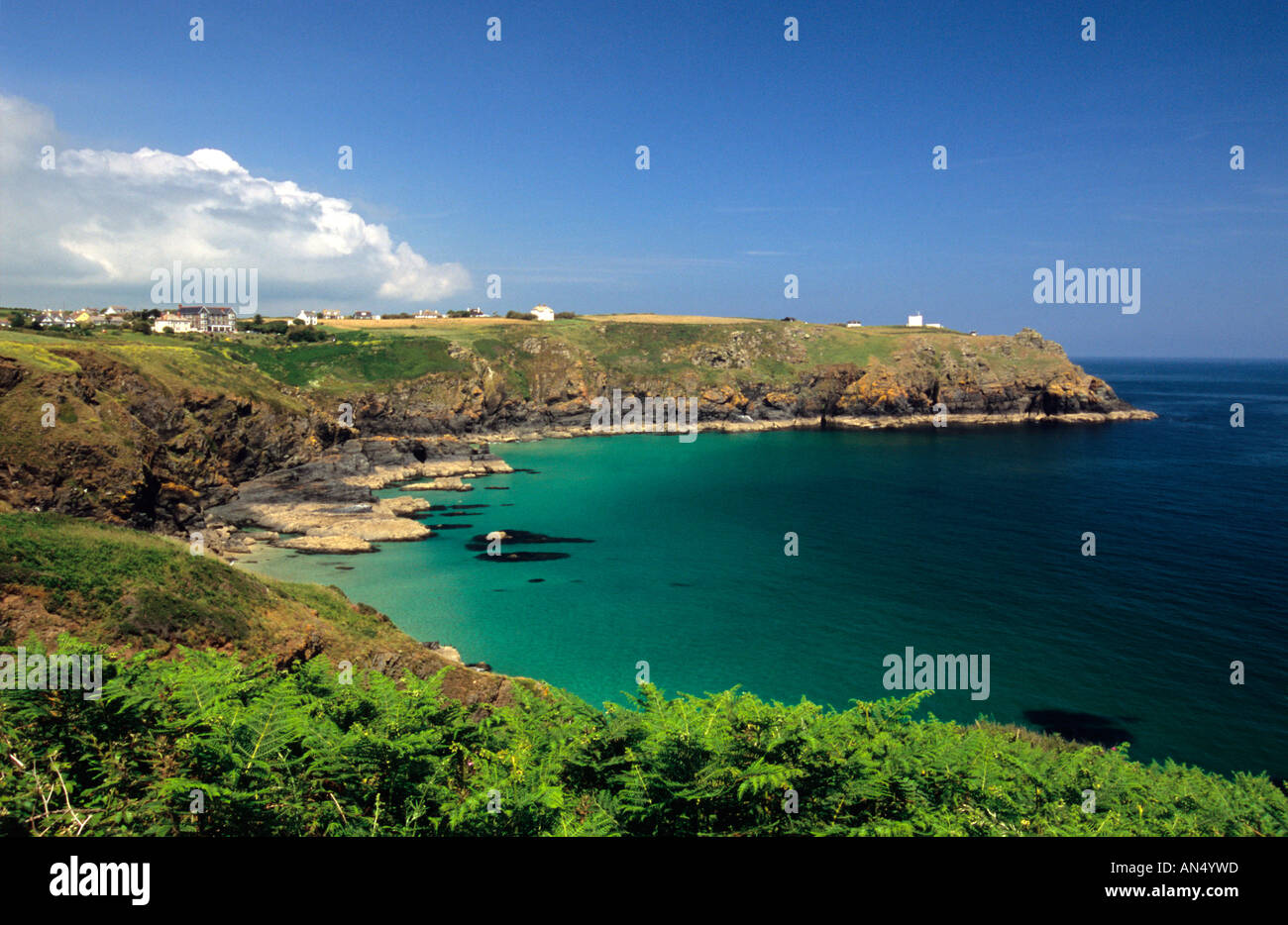 Housel Bay Lizard Peninsula Cornwall England UK Stock Photo - Alamy