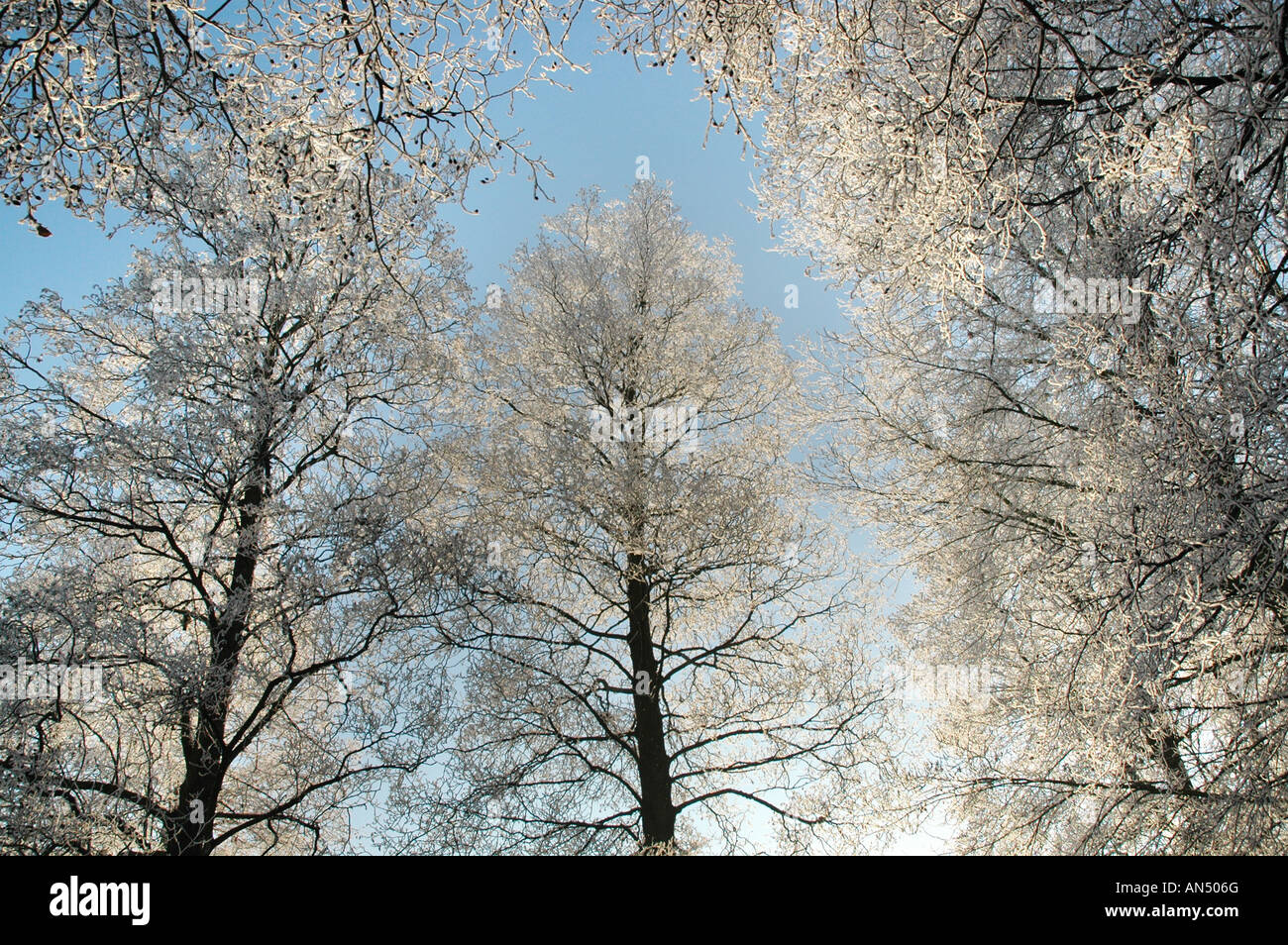 winter scene Roermond Netherlands Europe Stock Photo - Alamy