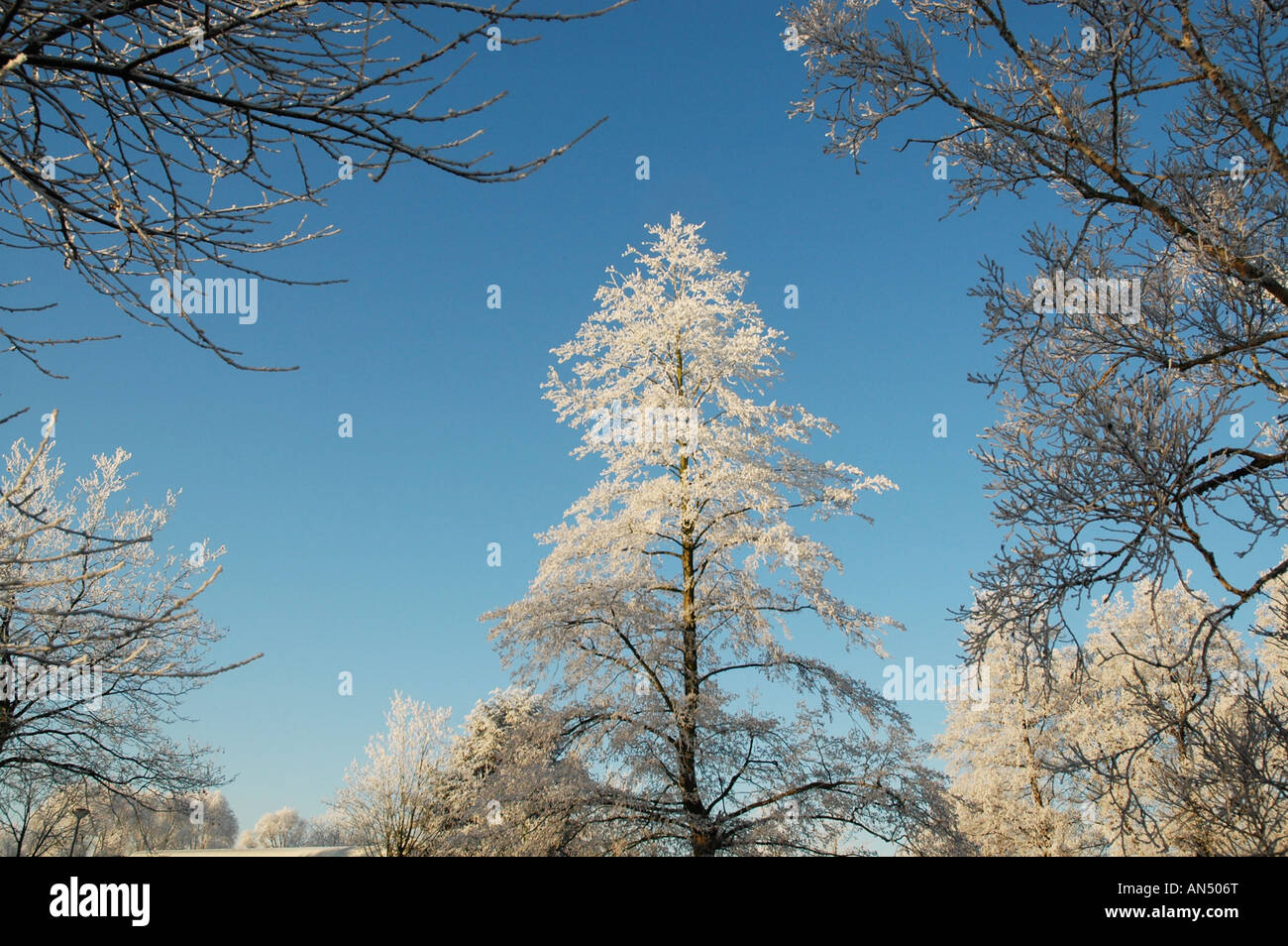 winter scene Roermond Netherlands Europe Stock Photo - Alamy