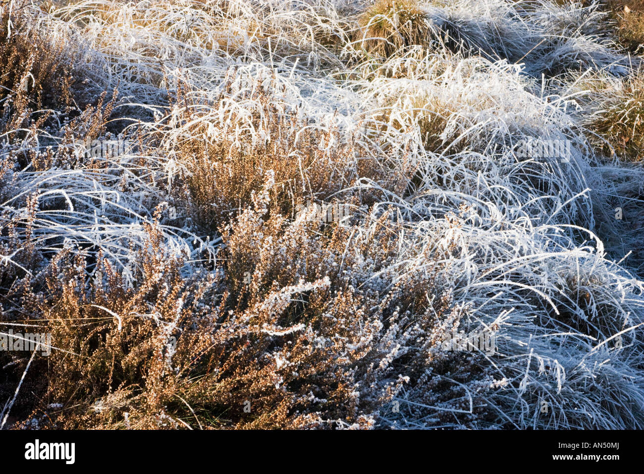 Moors winter hi-res stock photography and images - Alamy
