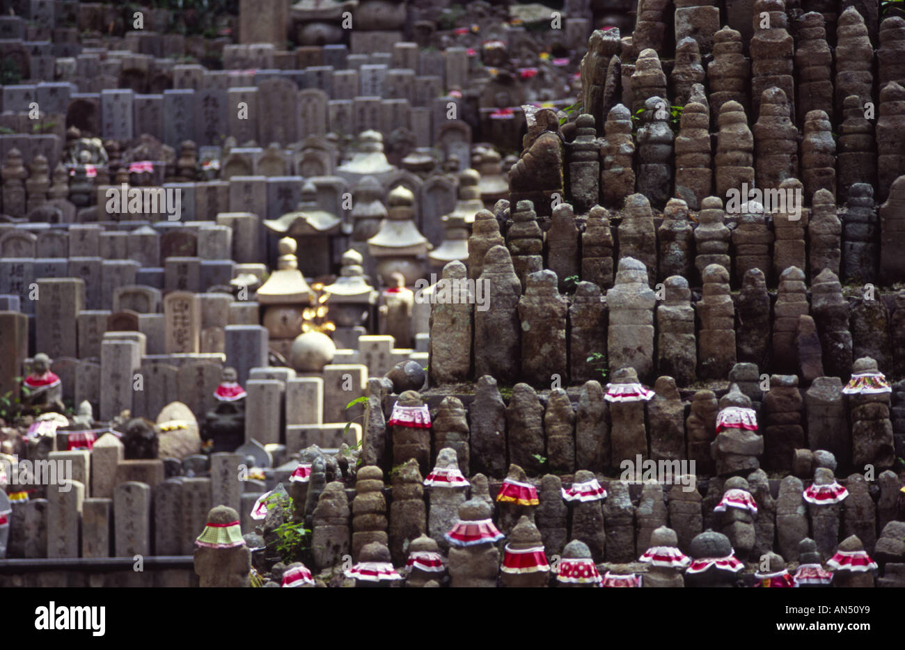 Baby tree graves hi-res stock photography and images - Alamy