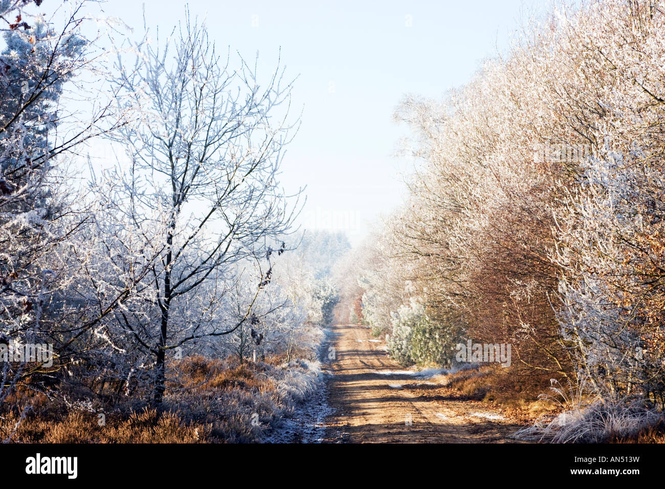 Unpaved path crossing moors Stock Photo - Alamy