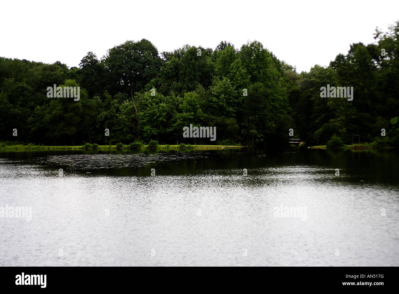 Lakeside view in New Jersey Stock Photo - Alamy