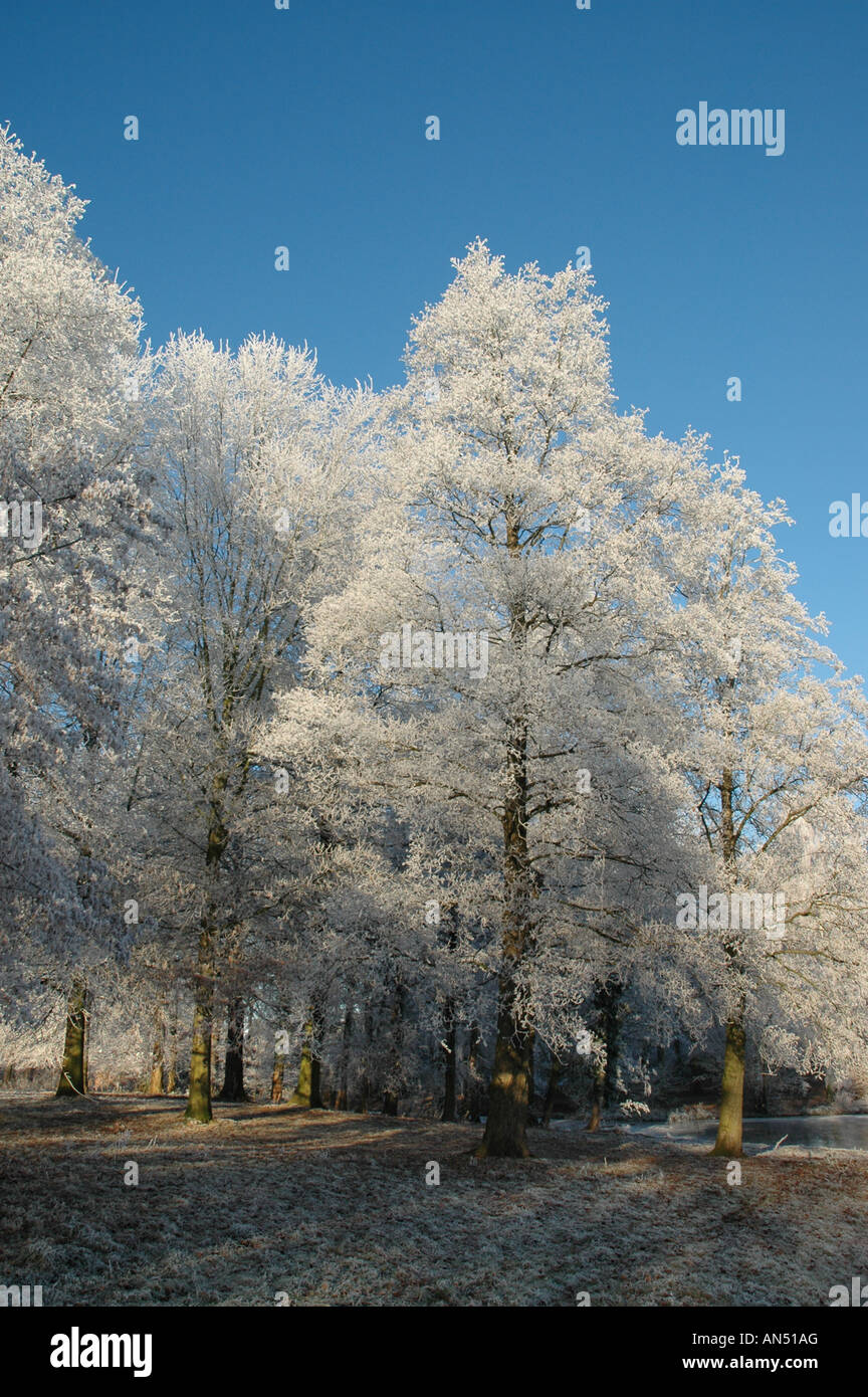winter scene Roermond Netherlands Europe Stock Photo - Alamy