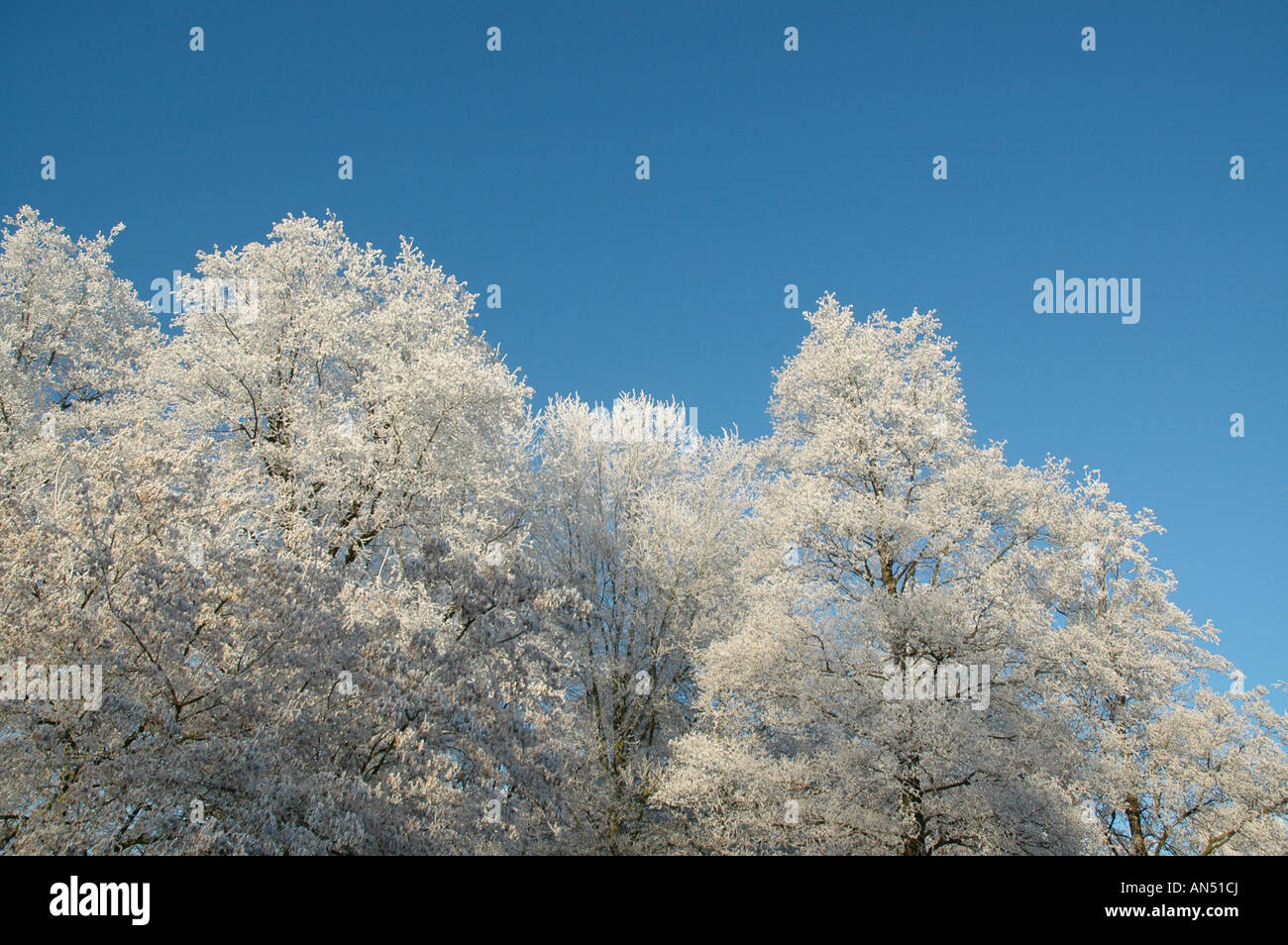 winter scene Roermond Netherlands Europe Stock Photo - Alamy