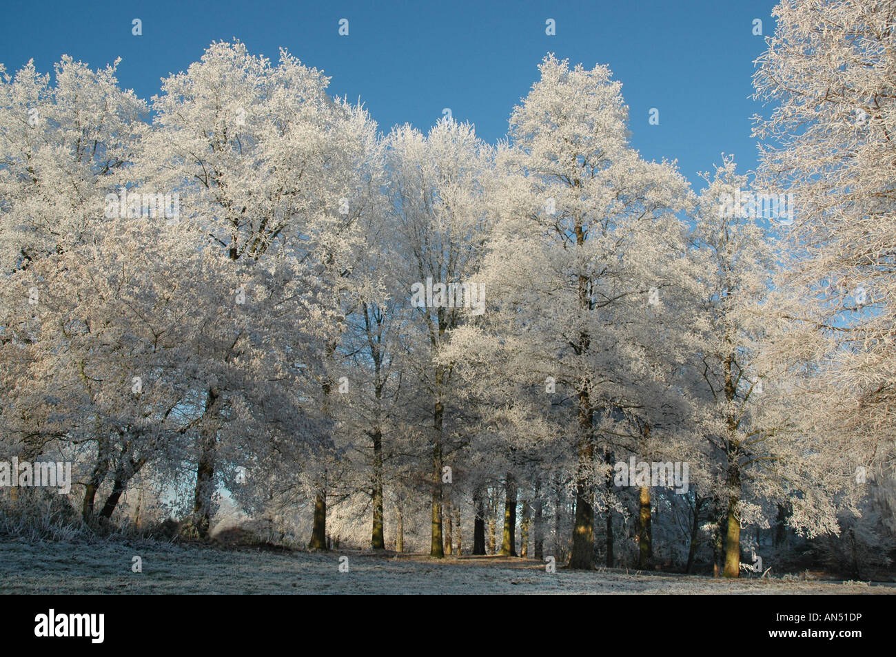 winter scene Roermond Netherlands Europe Stock Photo - Alamy