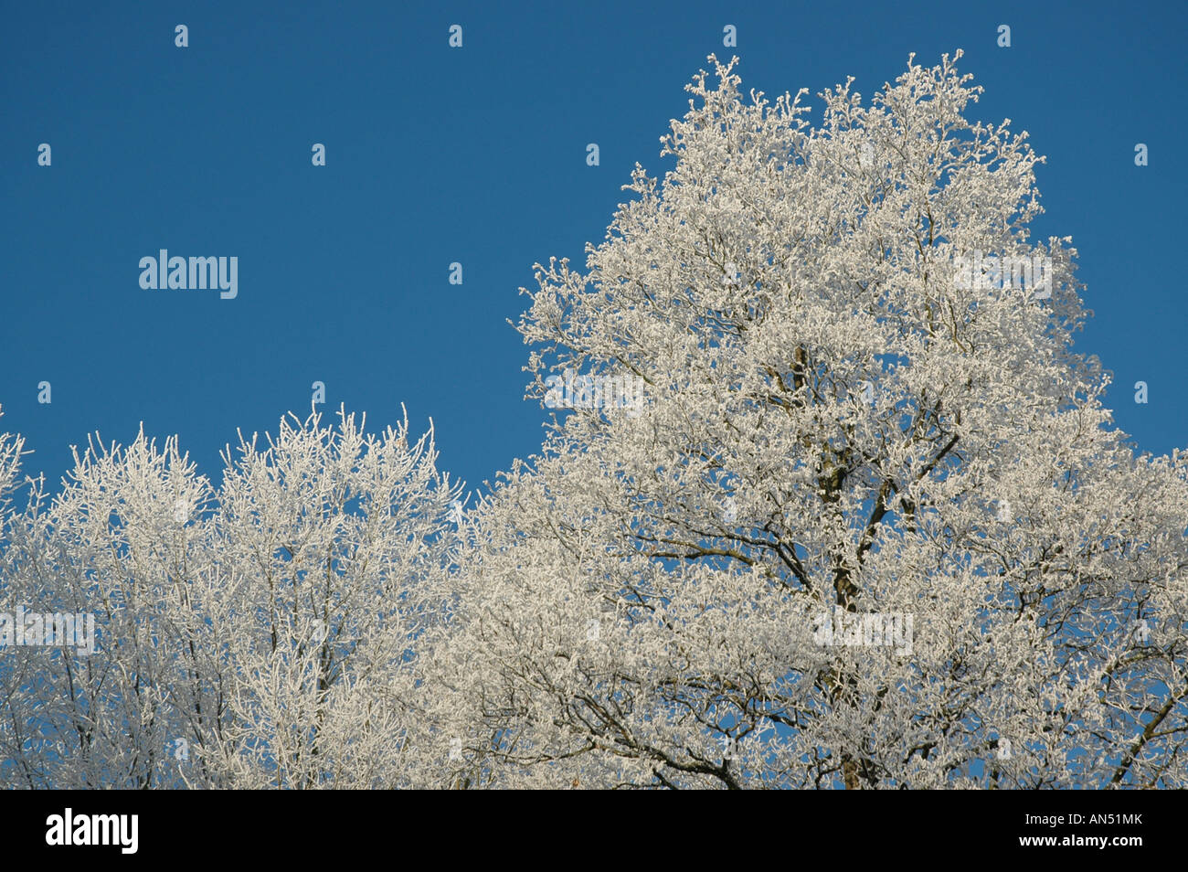 winter scene Roermond Netherlands Europe Stock Photo - Alamy
