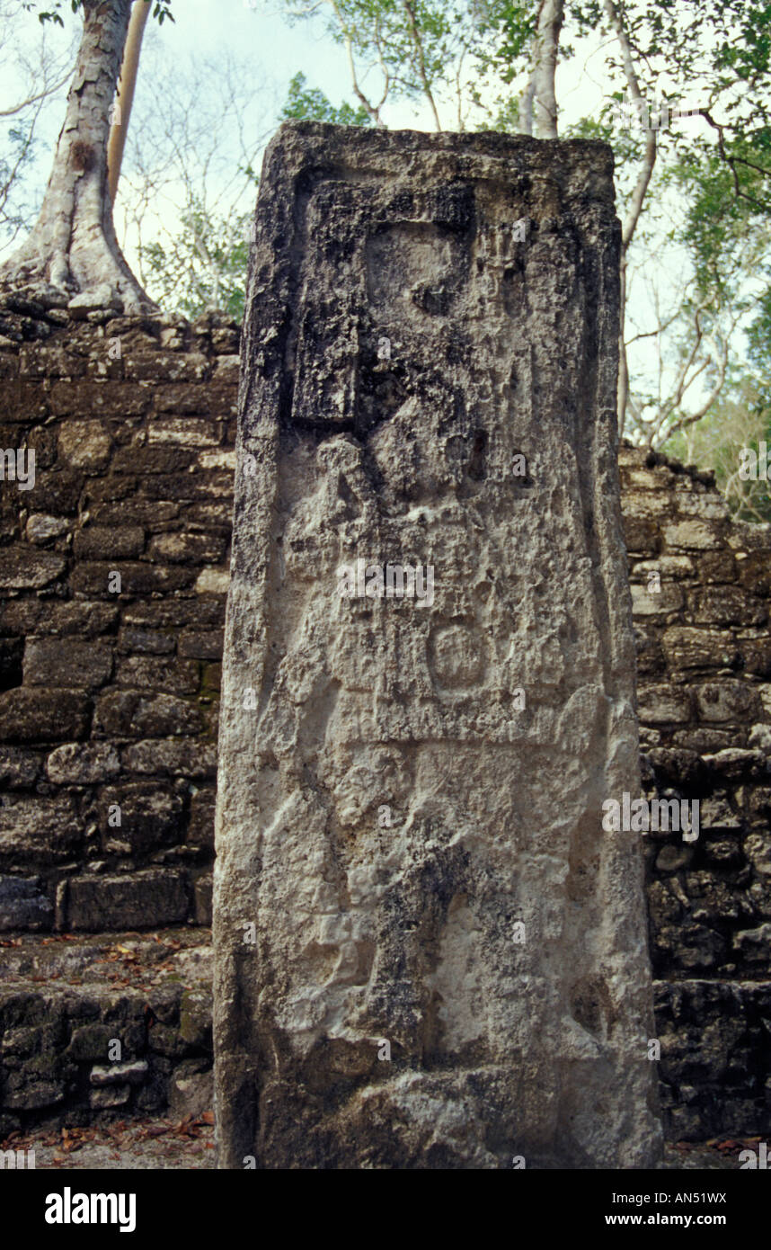 Stela 29 showing Ruler 2 at at the Mayan ruins of Calakmul, Campeche ...